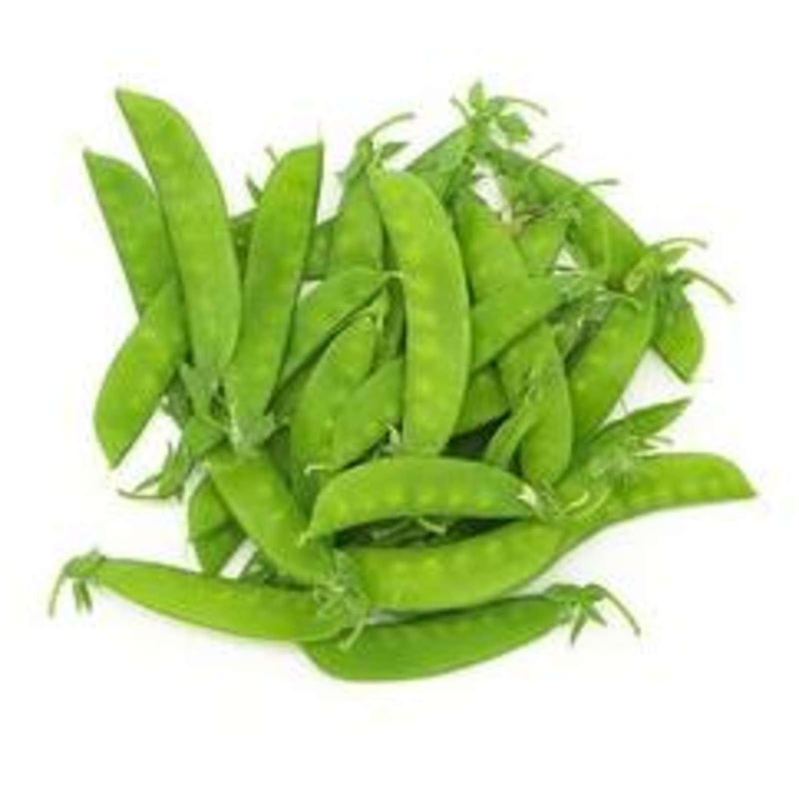 China Snow Pea | NTUC FairPrice