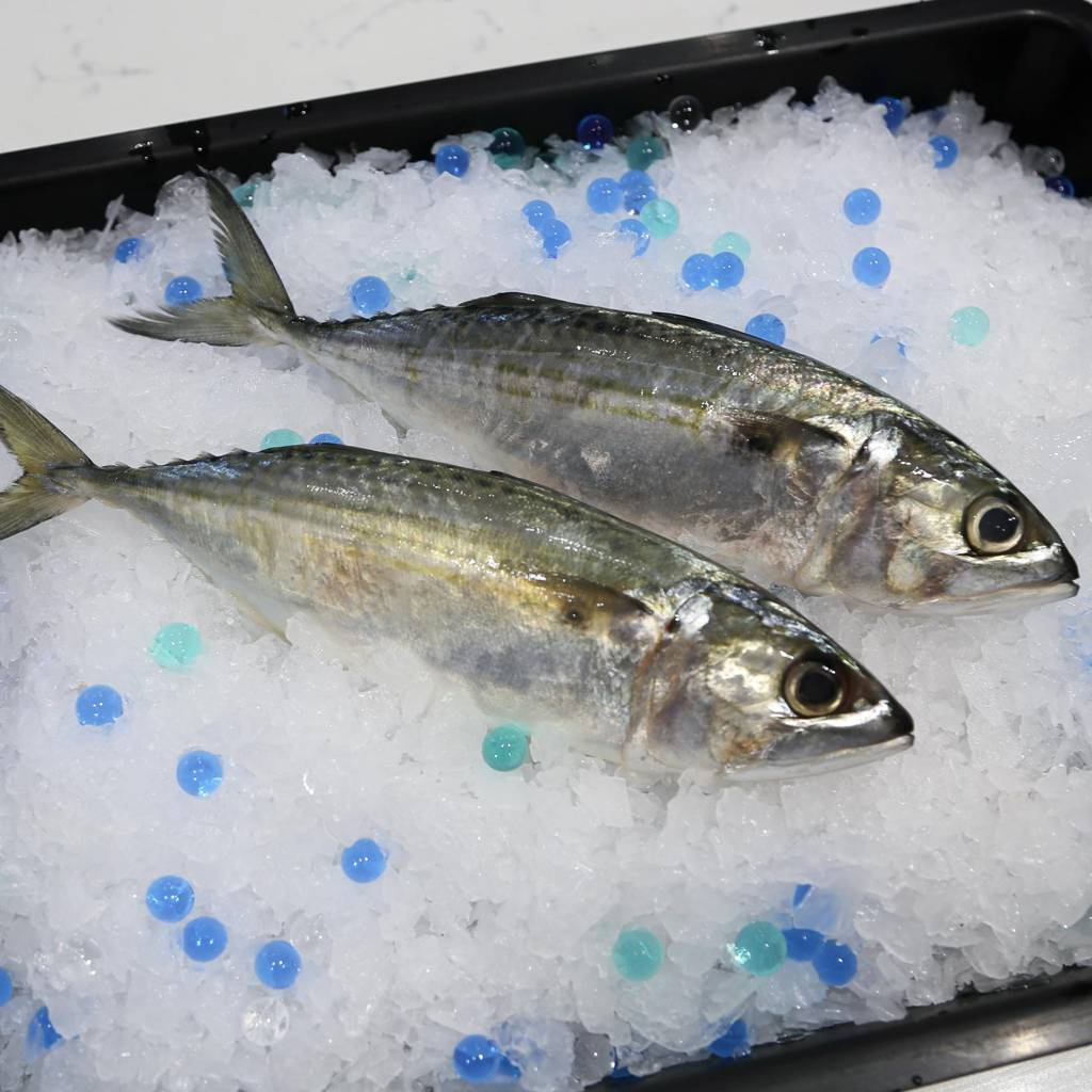 Aw's Market Fresh Kembong Fish | NTUC FairPrice