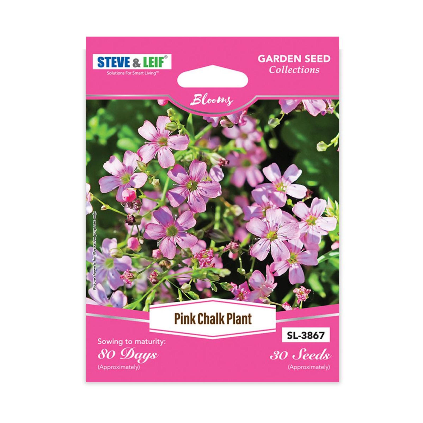Steve & Leif Pink Chalk Plant Seeds | NTUC FairPrice