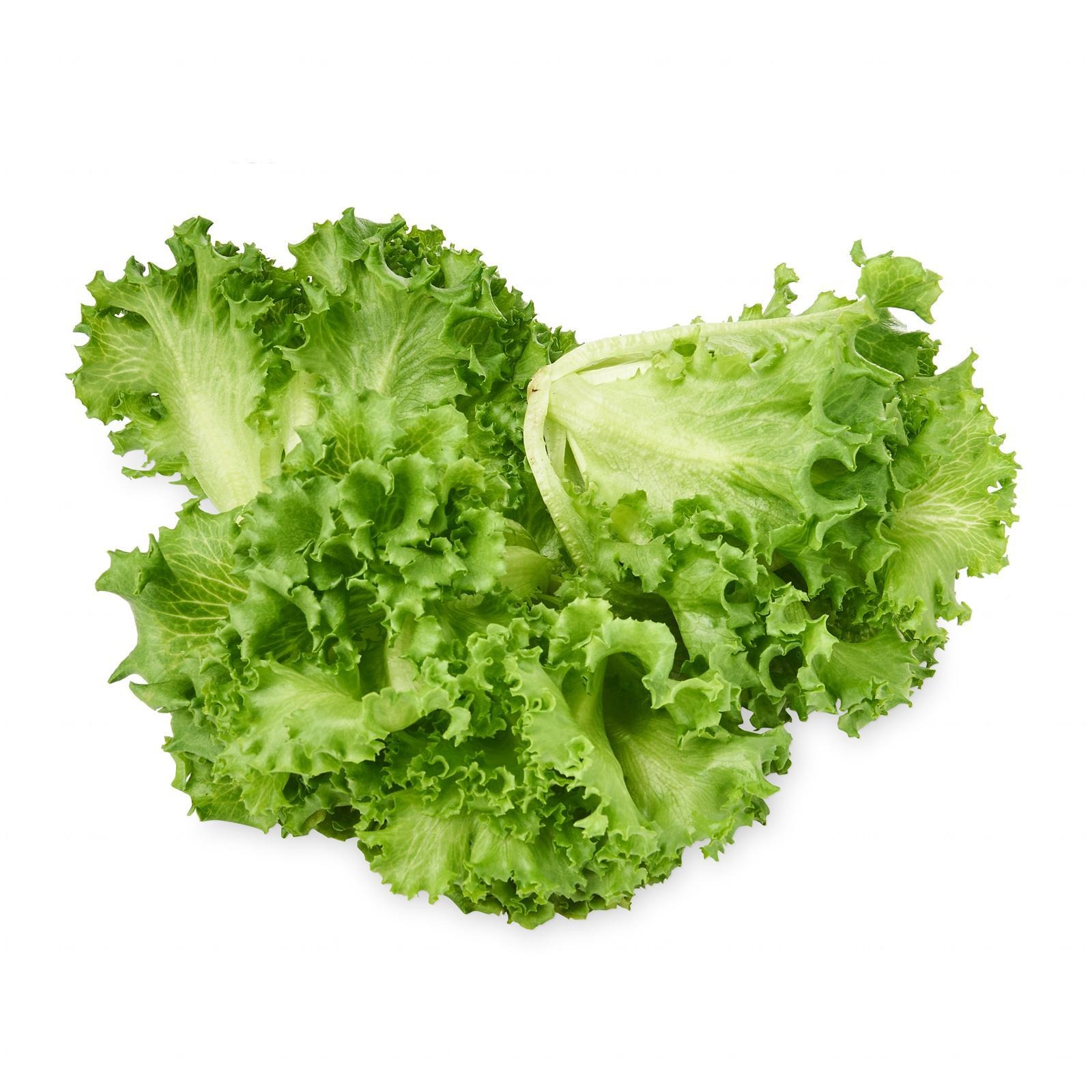 Vegeponics Lettuce 200G | NTUC FairPrice