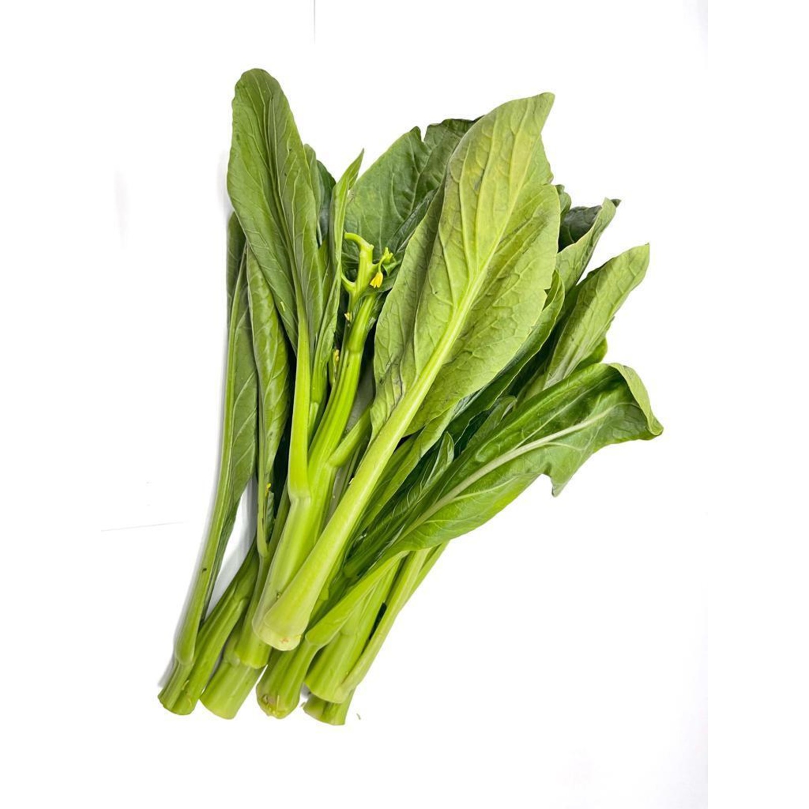 Freshstory Hong Kong Chye Sim | NTUC FairPrice