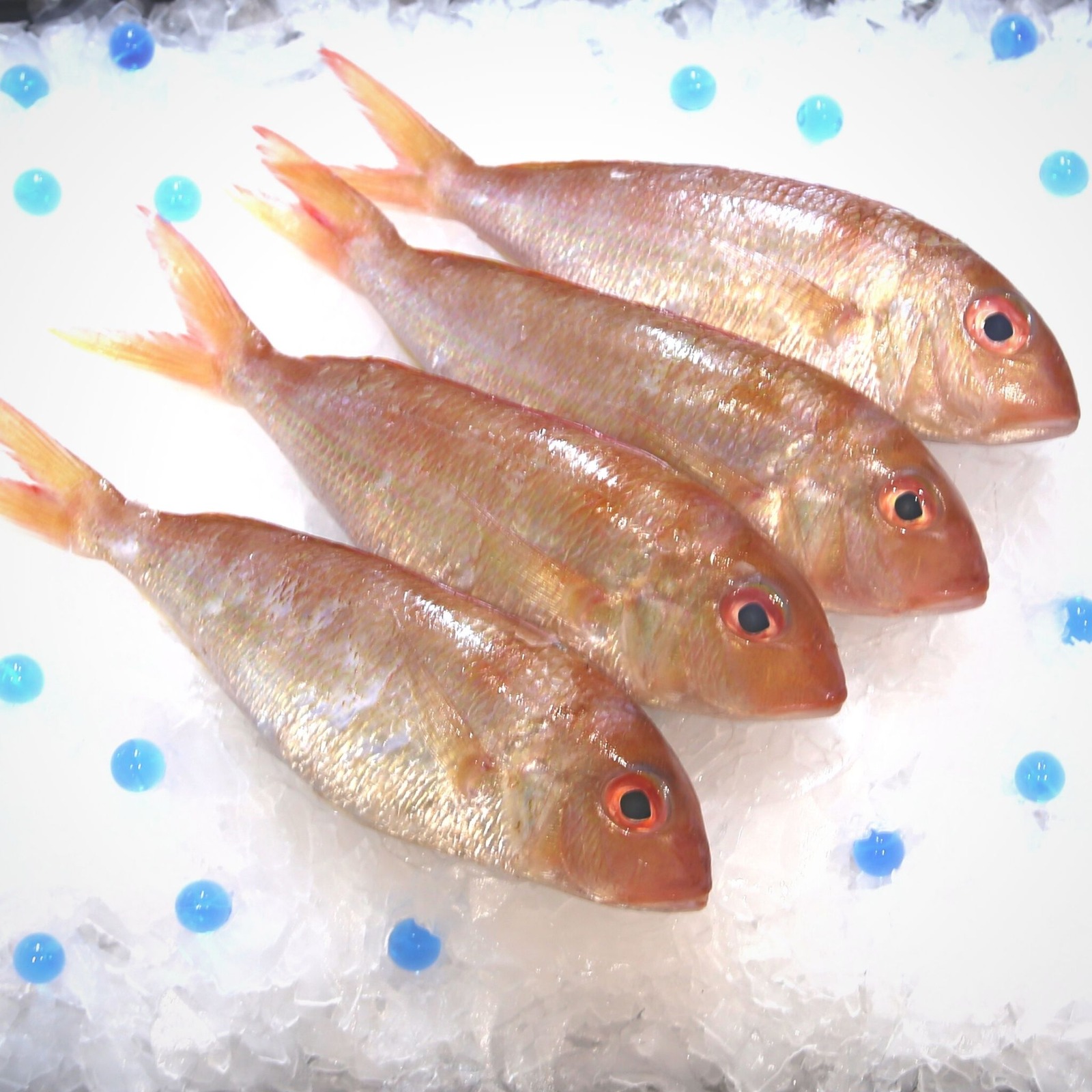 Aw's Market Fresh Baby White Snapper (Ang Go Li Kia) | NTUC FairPrice