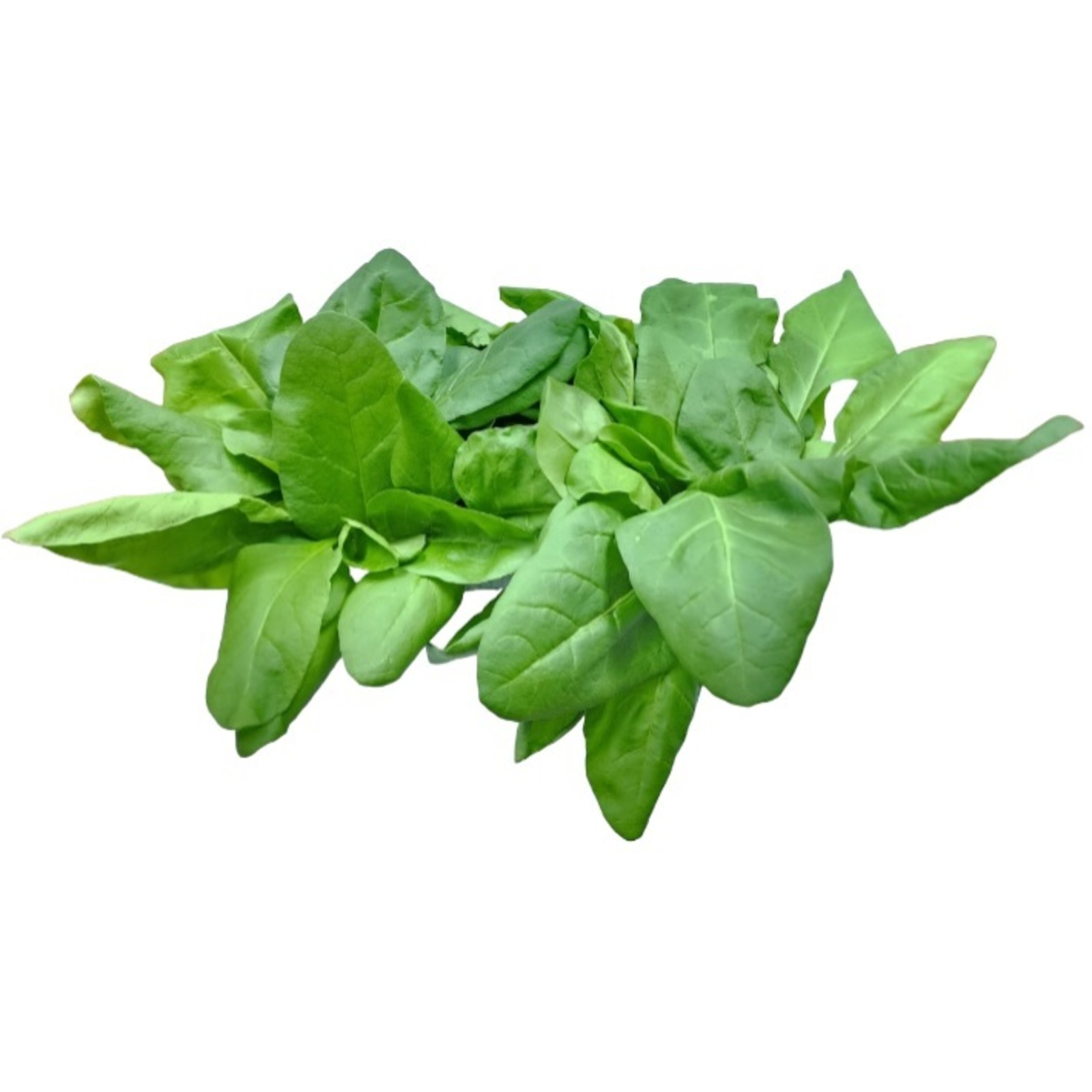 Vegeponics Spinach | NTUC FairPrice