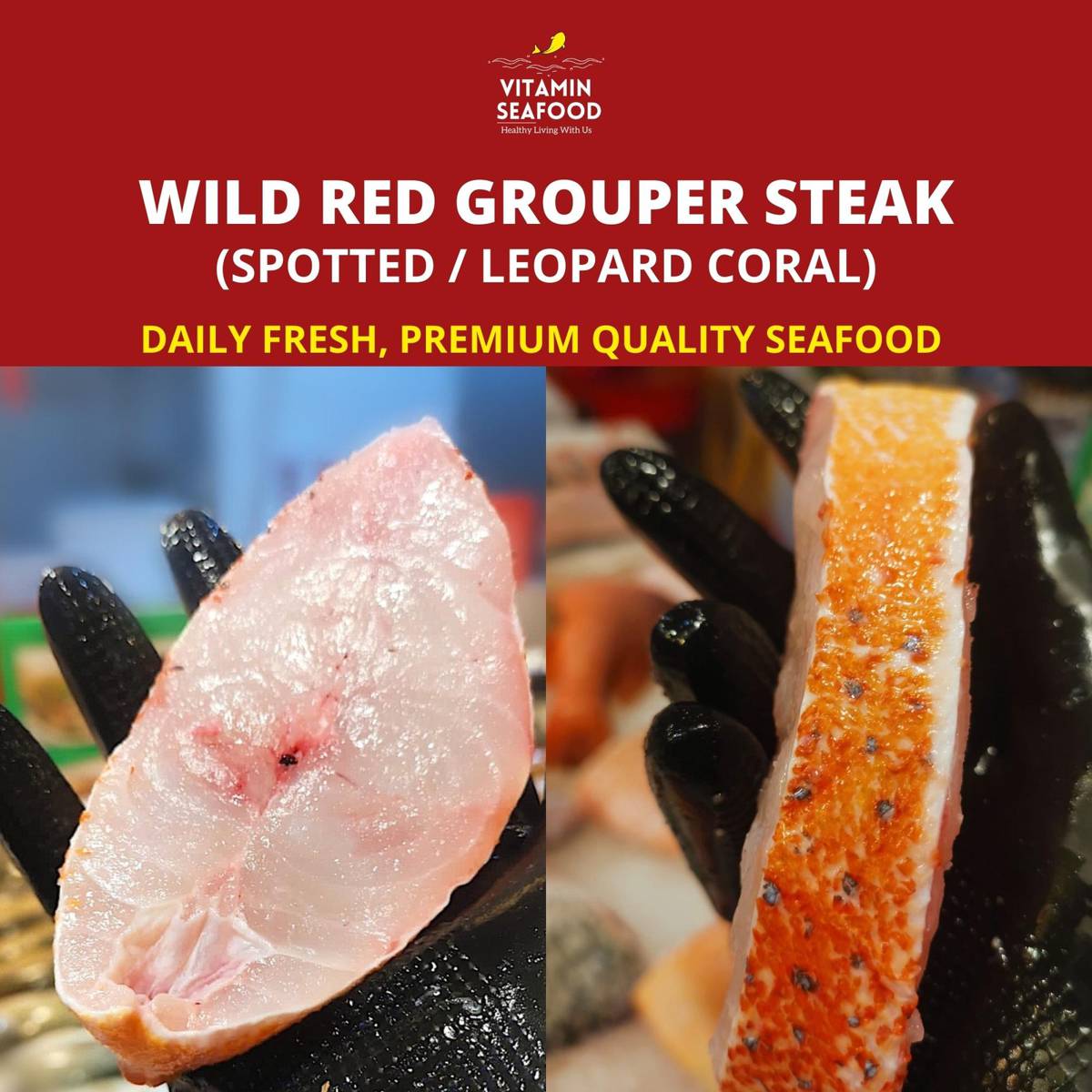 Vitamin Seafood Wild Red Grouper Steak Ntuc Fairprice