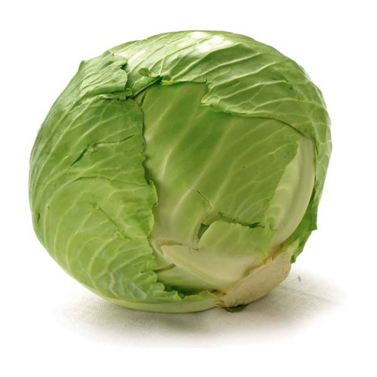 Orgo Fresh Cabbage (Whole) | NTUC FairPrice