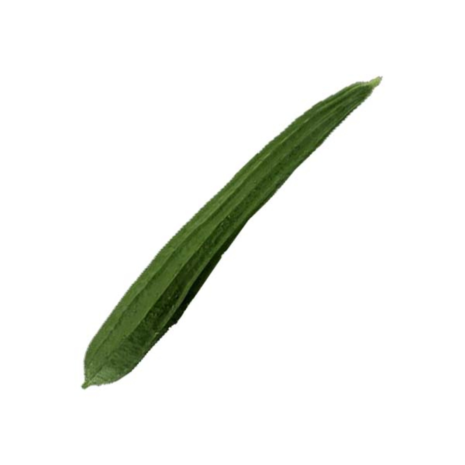 Orgo Fresh Malaysian Luffa Gourd | NTUC FairPrice