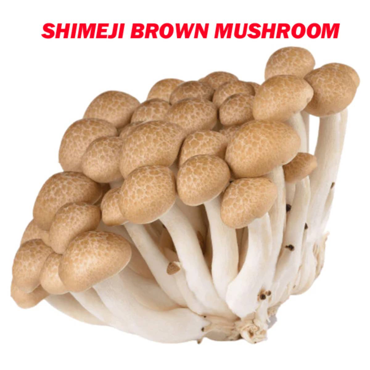 Orgo Fresh Shimeiji Brown Beech Mushroom | NTUC FairPrice