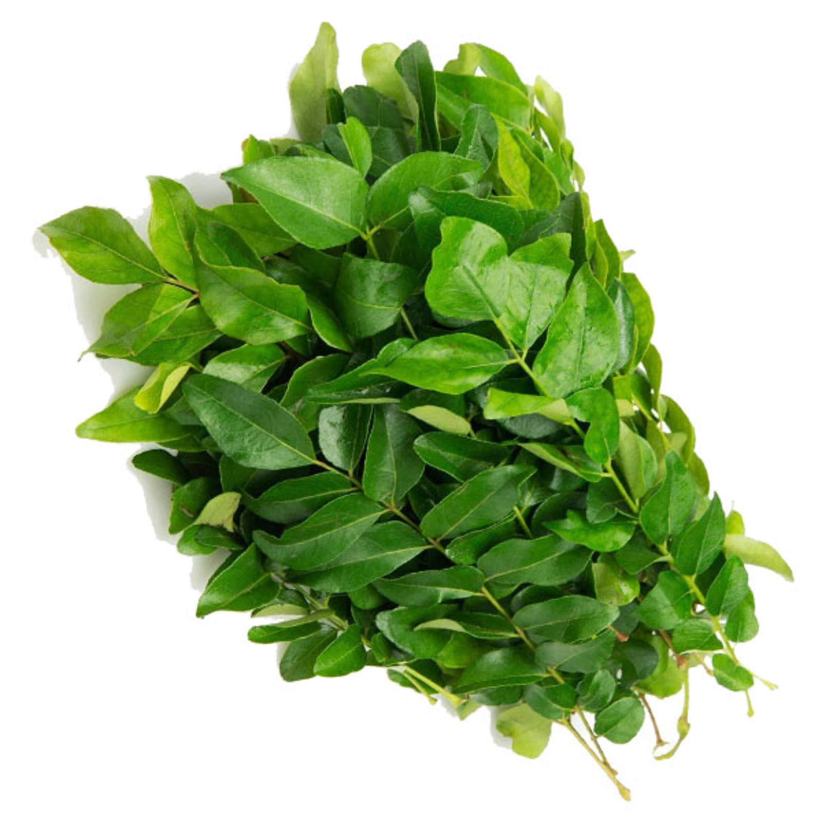 Orgo Fresh Curry Leaves(Curry Leaf) | NTUC FairPrice