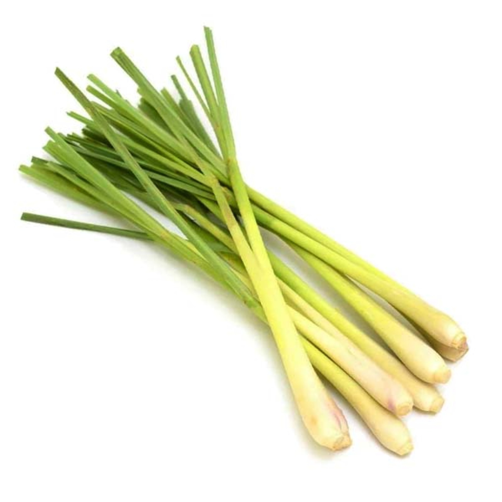Orgo Fresh Malaysian Lemon Grass | NTUC FairPrice