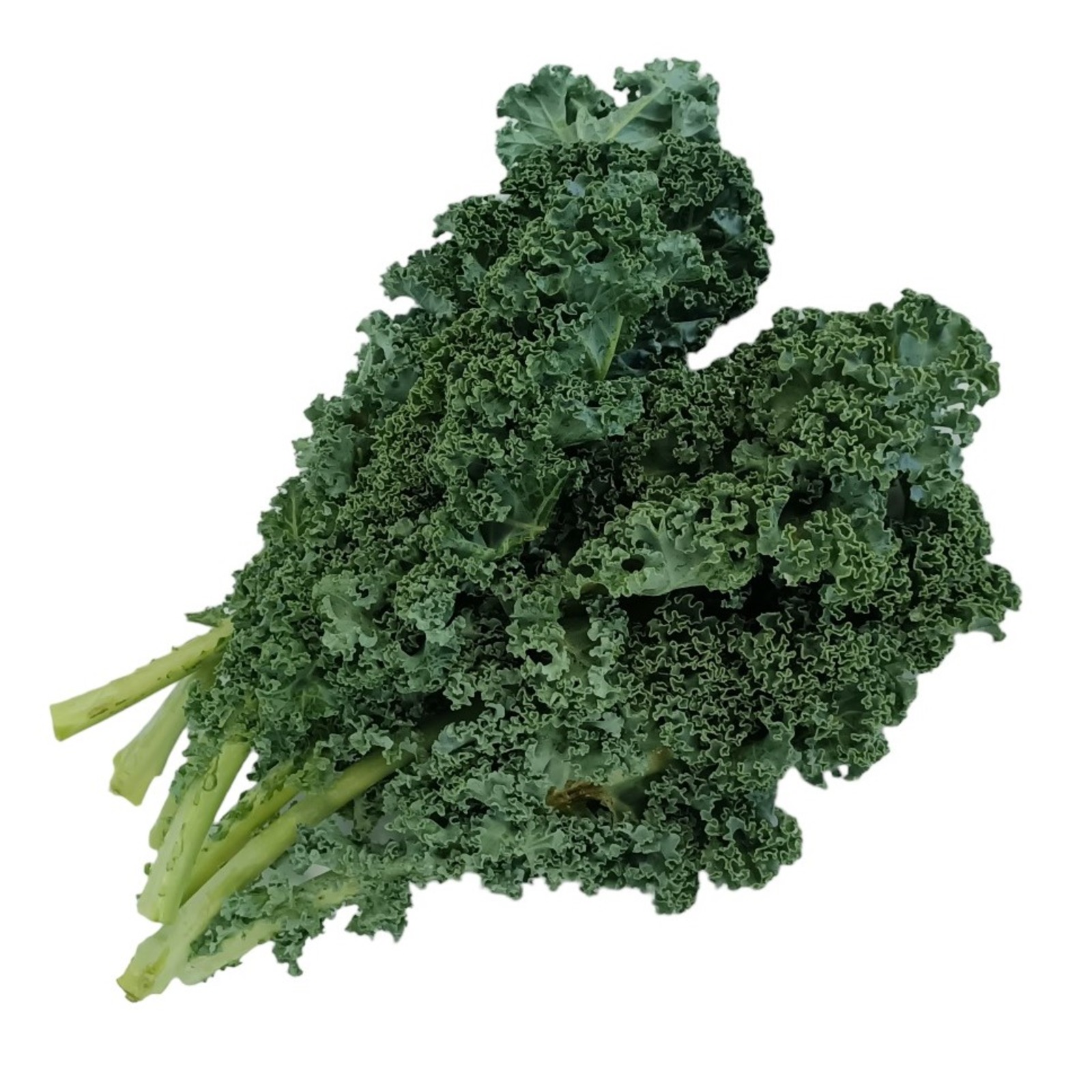 Yuan Zhen Yuan Australian Green Kale | NTUC FairPrice