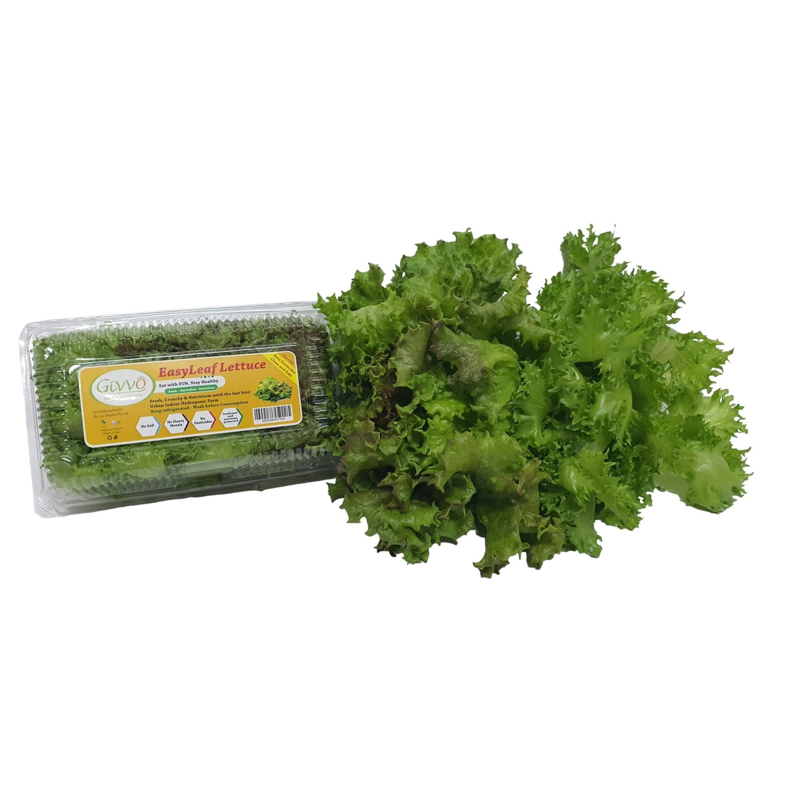 Givvo Pesticide Free Easy Lettuce | NTUC FairPrice