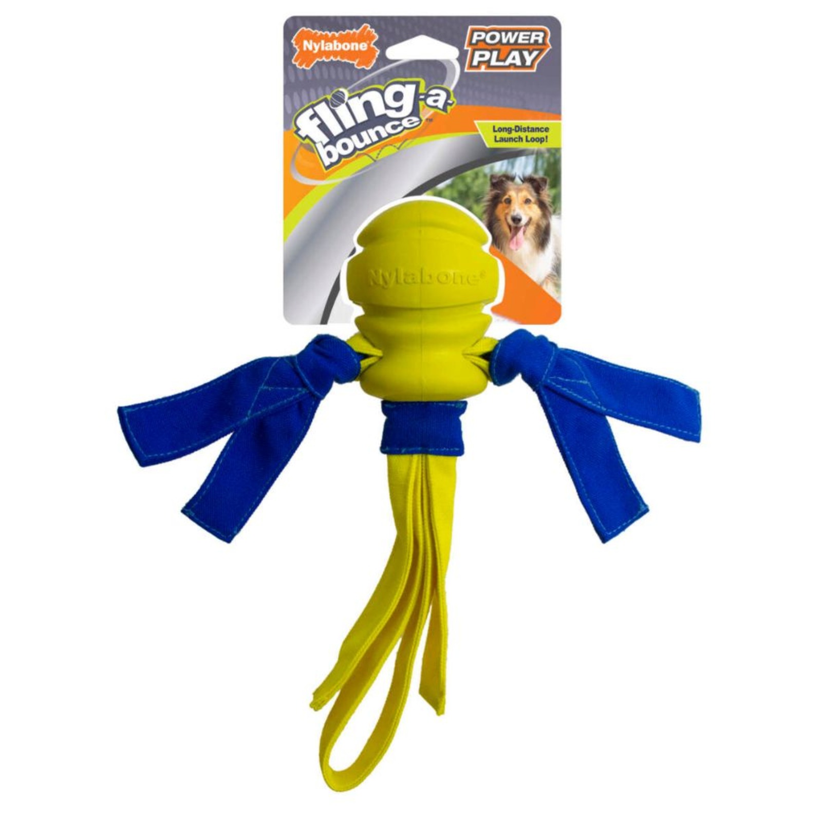 Nylabone Power Play Fling-a-Bounce Interactive Dog Toy | NTUC FairPrice