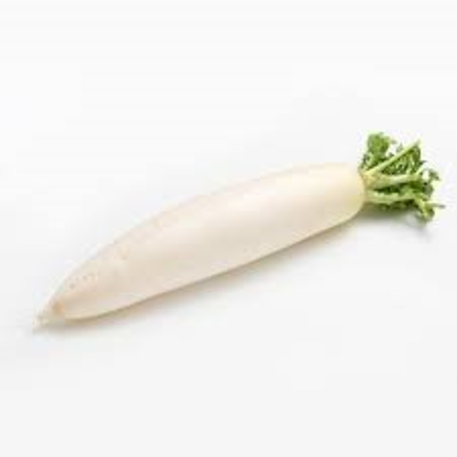 Japan Daikon | NTUC FairPrice