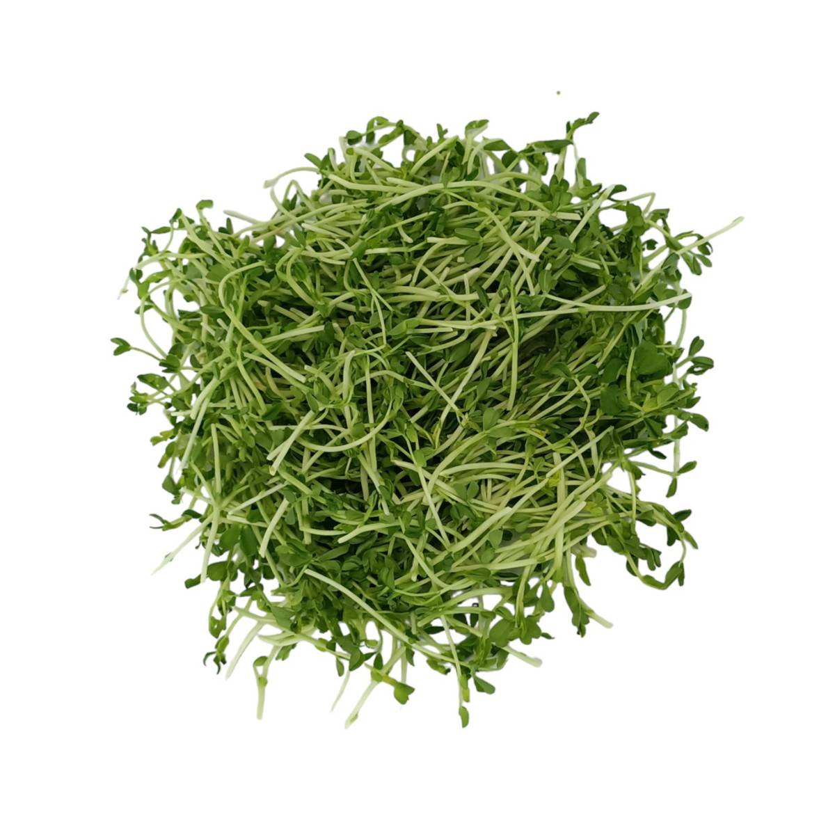 Yuan Zhen Yuan Pea Shoots (Dou Miao) | NTUC FairPrice