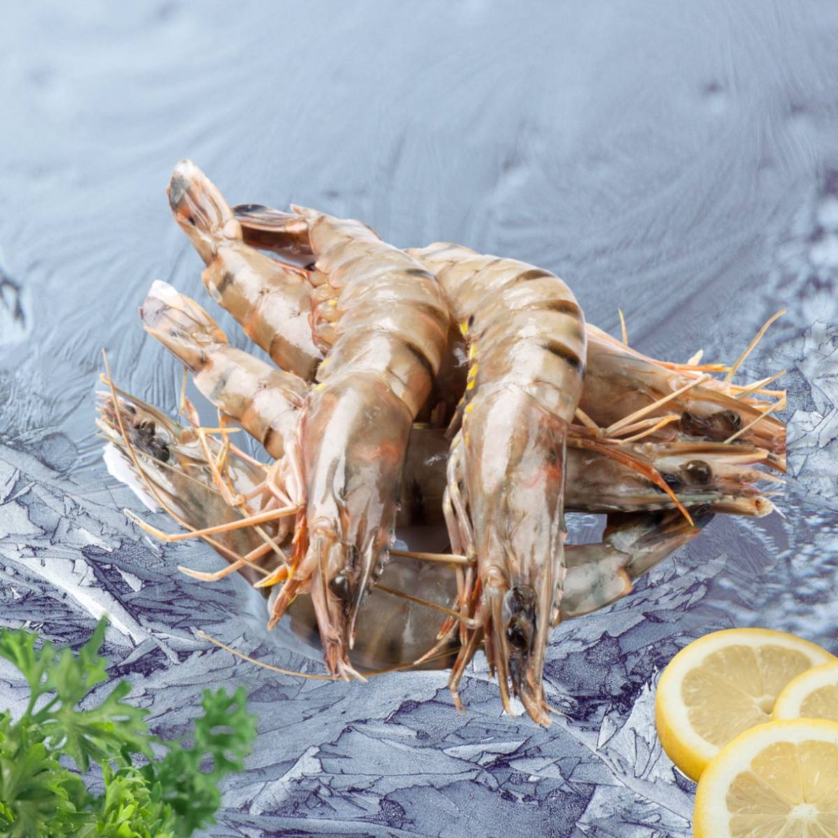Seaco Prawn Tiger HOSO (16-20) | NTUC FairPrice