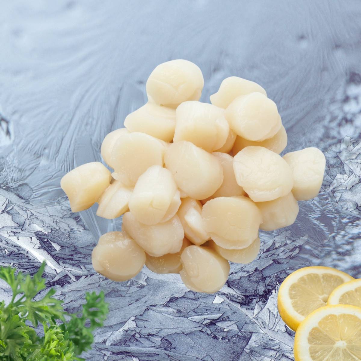 Seaco Japanese Scallop Meat 20-30 | NTUC FairPrice