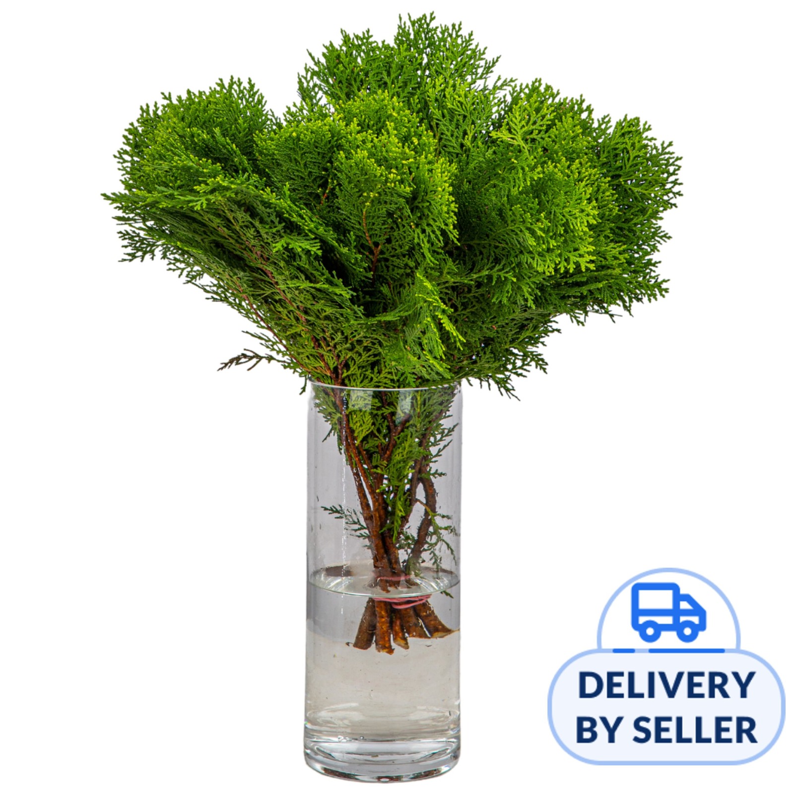 JM Flower Pin Par | NTUC FairPrice