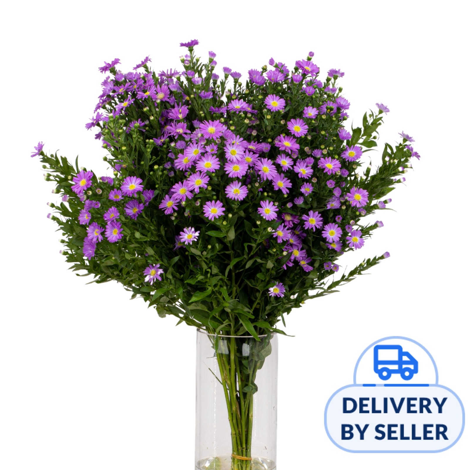 JM Flower Peacock - Blue | NTUC FairPrice