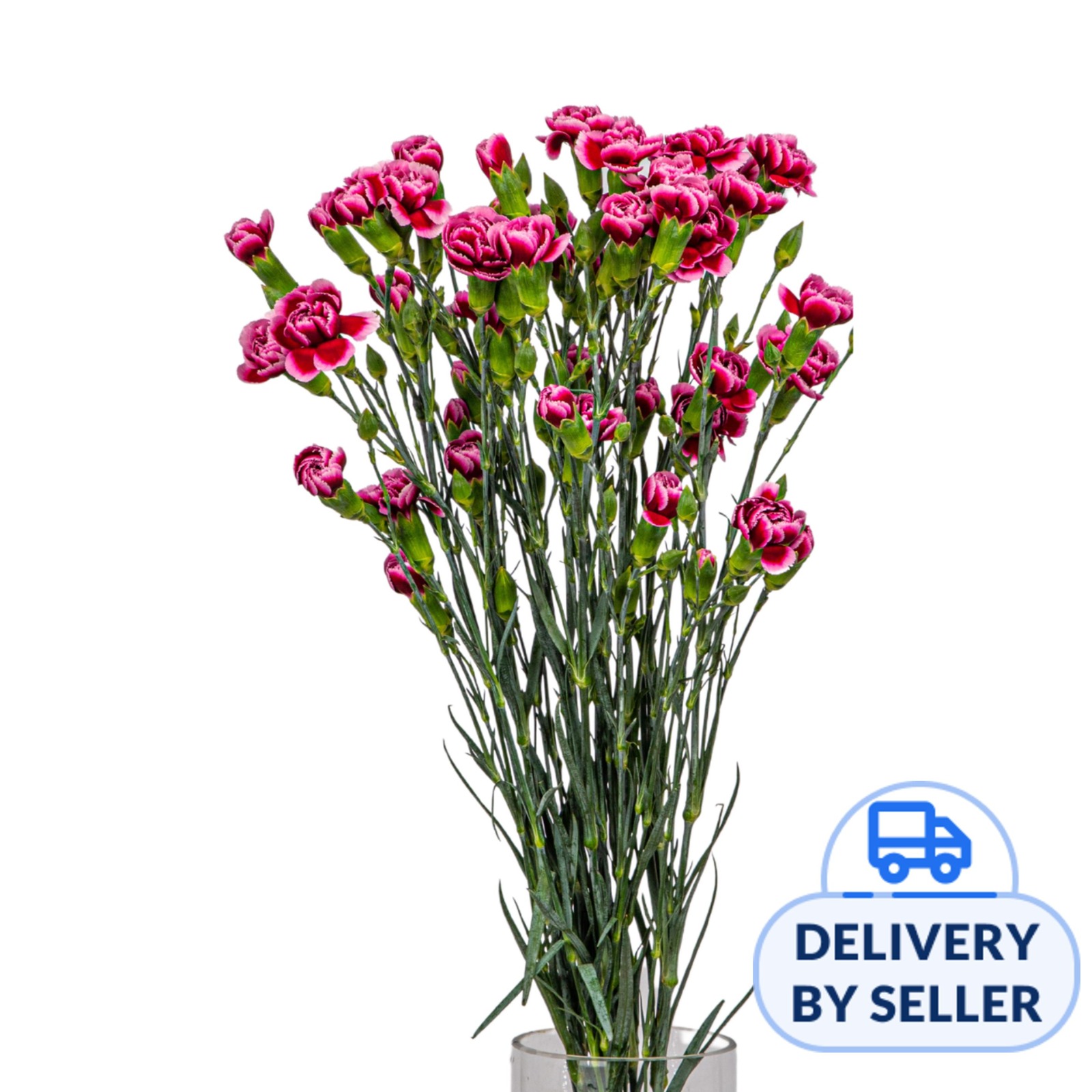 JM Flower Carnation Spray (Premium Grade) - Two Tone Purple | NTUC ...