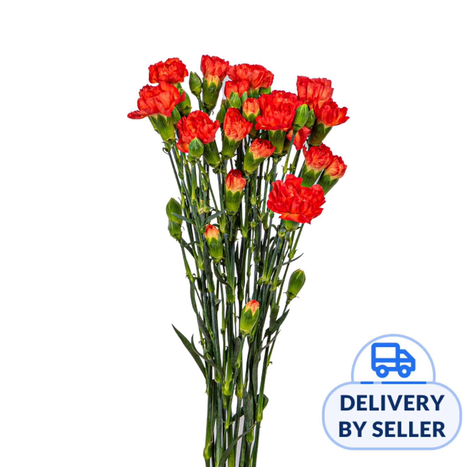 JM Flower Carnation Spray (Premium Grade) - Orange | NTUC FairPrice