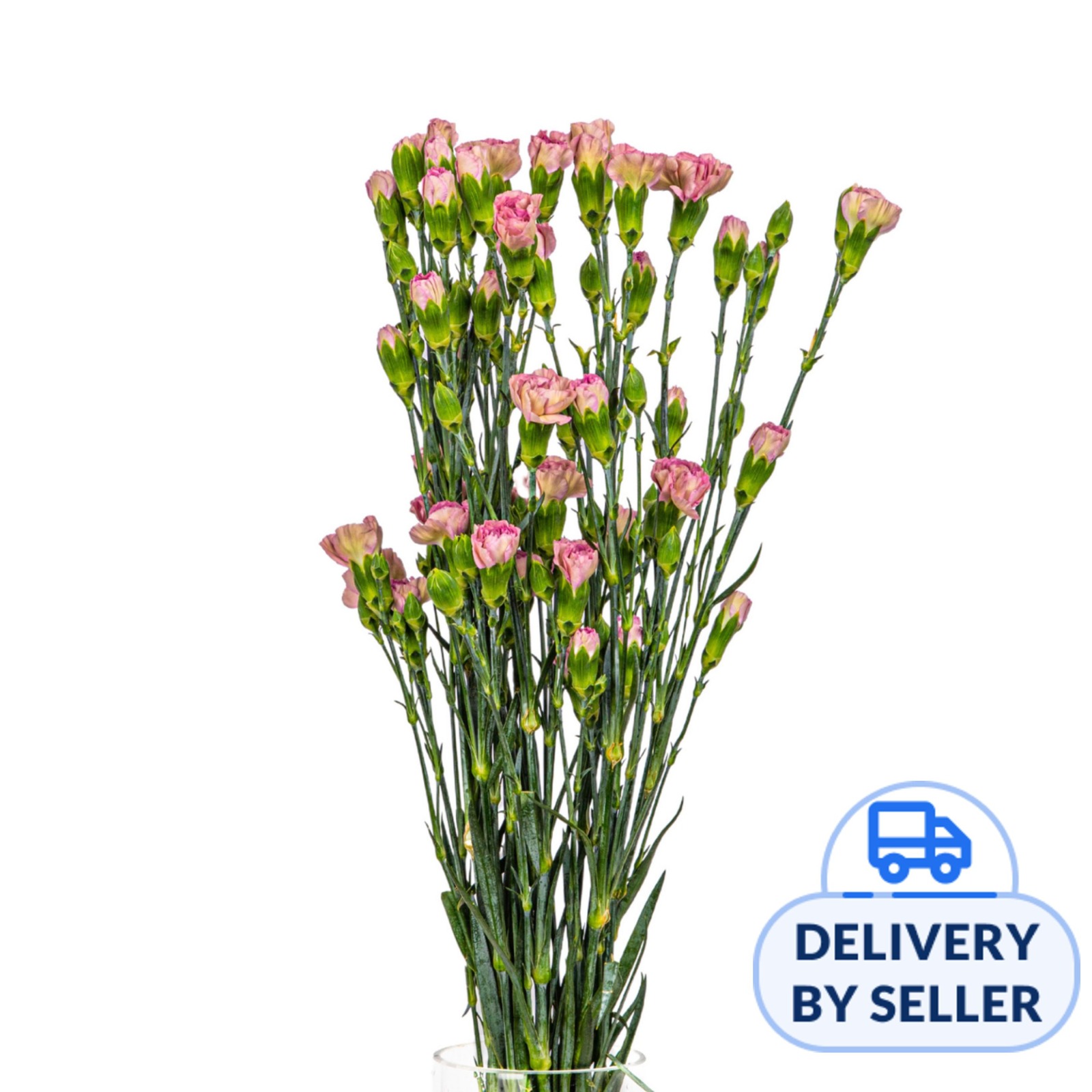 JM Flower Carnation Spray (Premium Grade) - Dusty Pink | NTUC FairPrice