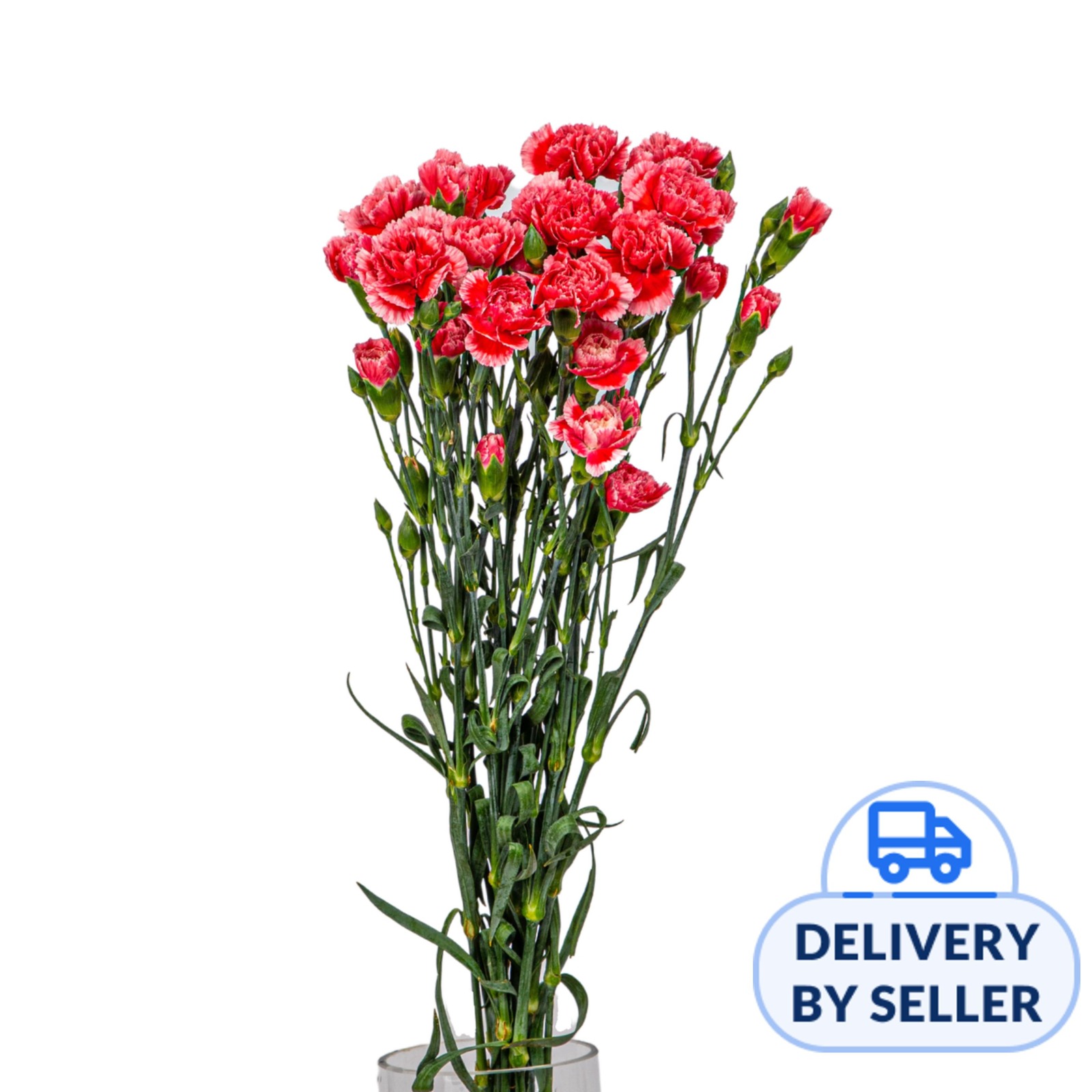 JM Flower Carnation Spray (Premium Grade) - Two Tone Red | NTUC FairPrice