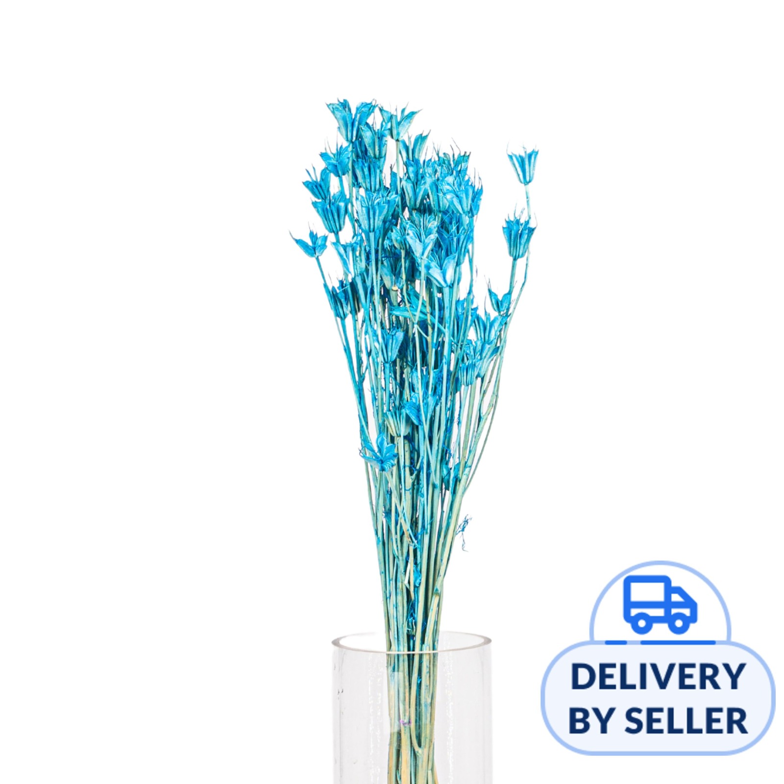 JM Flower Preserved Star Flower - Blue | NTUC FairPrice