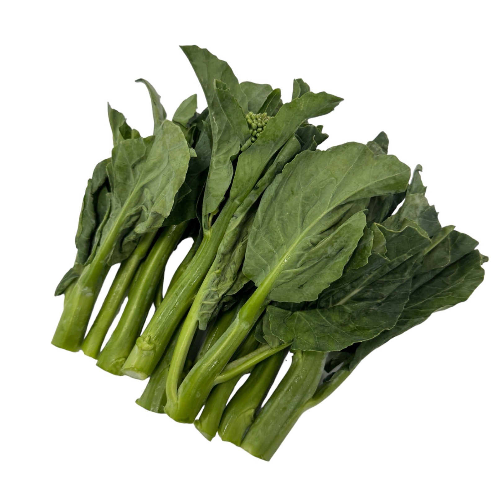 Yuan Zhen Yuan Baby Chye Sim | NTUC FairPrice