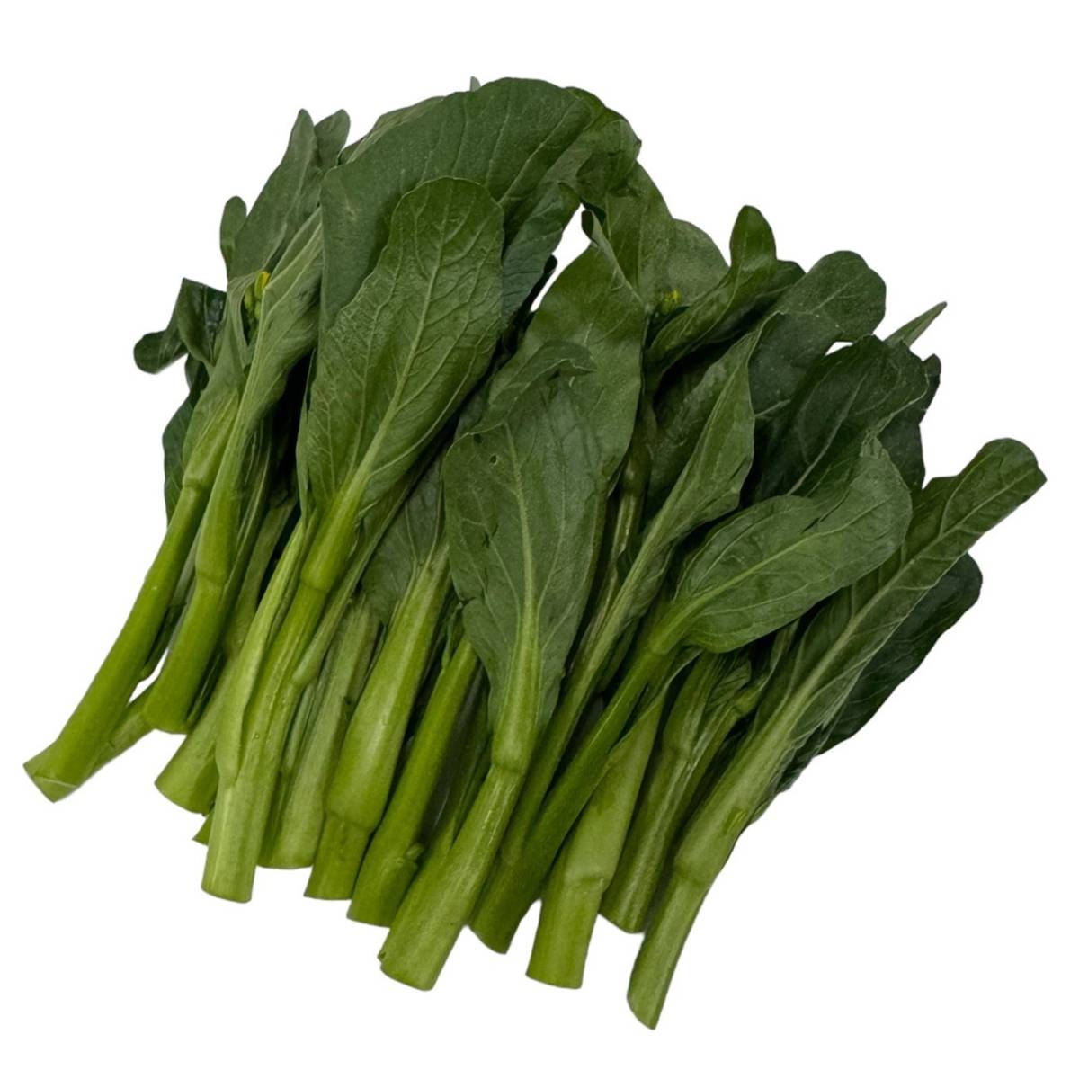 Yuan Zhen Yuan Baby Chye Sim | NTUC FairPrice