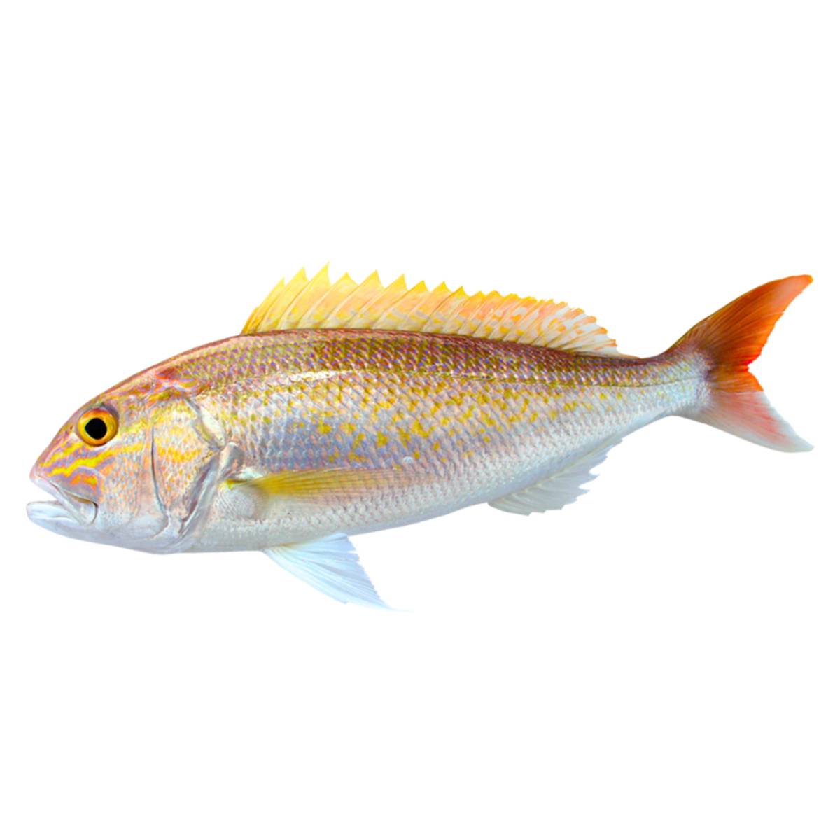 Pan Royal Fresh Angoli - Cleaned and Gutted | NTUC FairPrice