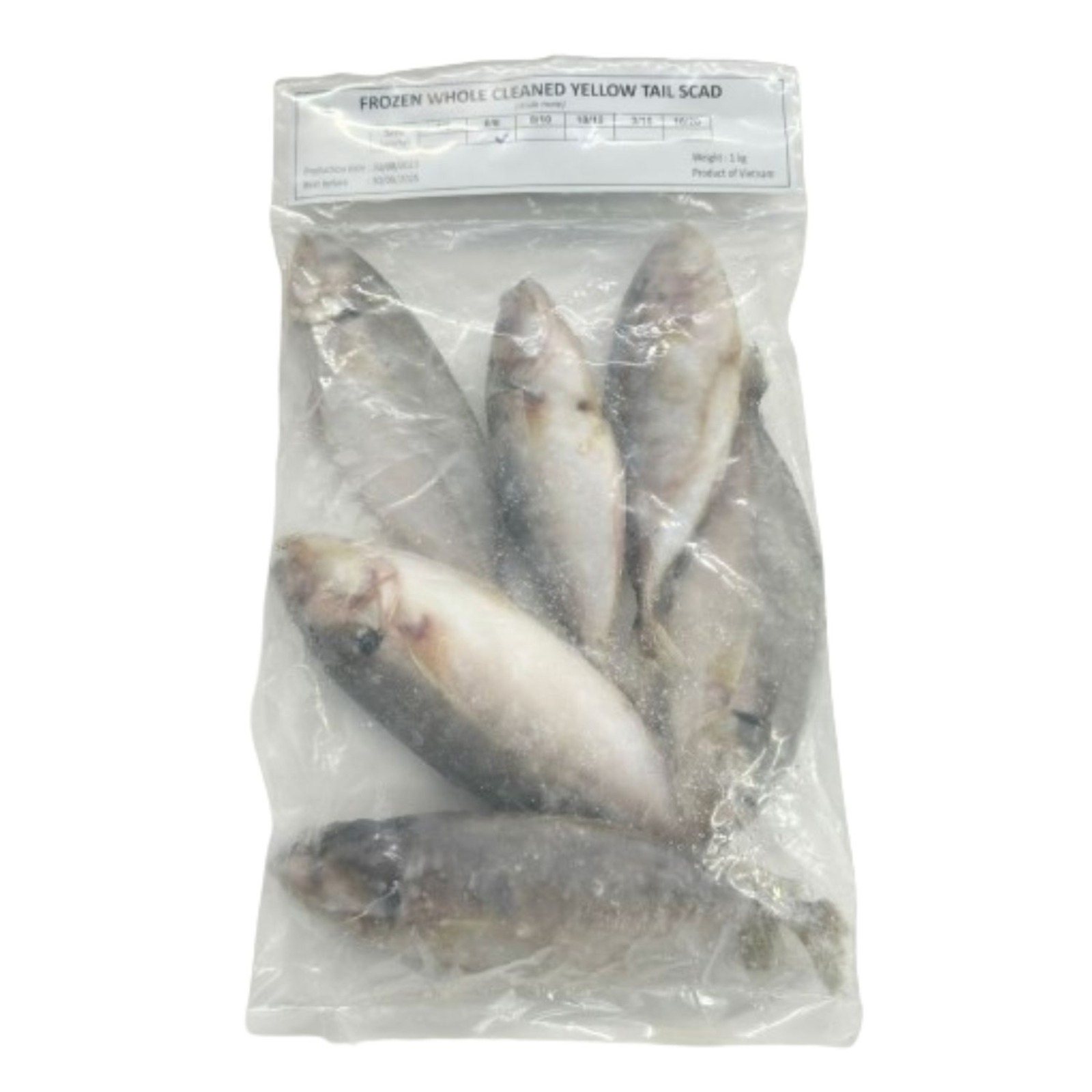 Blue Oceans Yellow Tail Scad Fish Selar (6-8) | NTUC FairPrice
