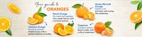 Shop Citrus Fruits For Everyday Great Value | NTUC FairPrice
